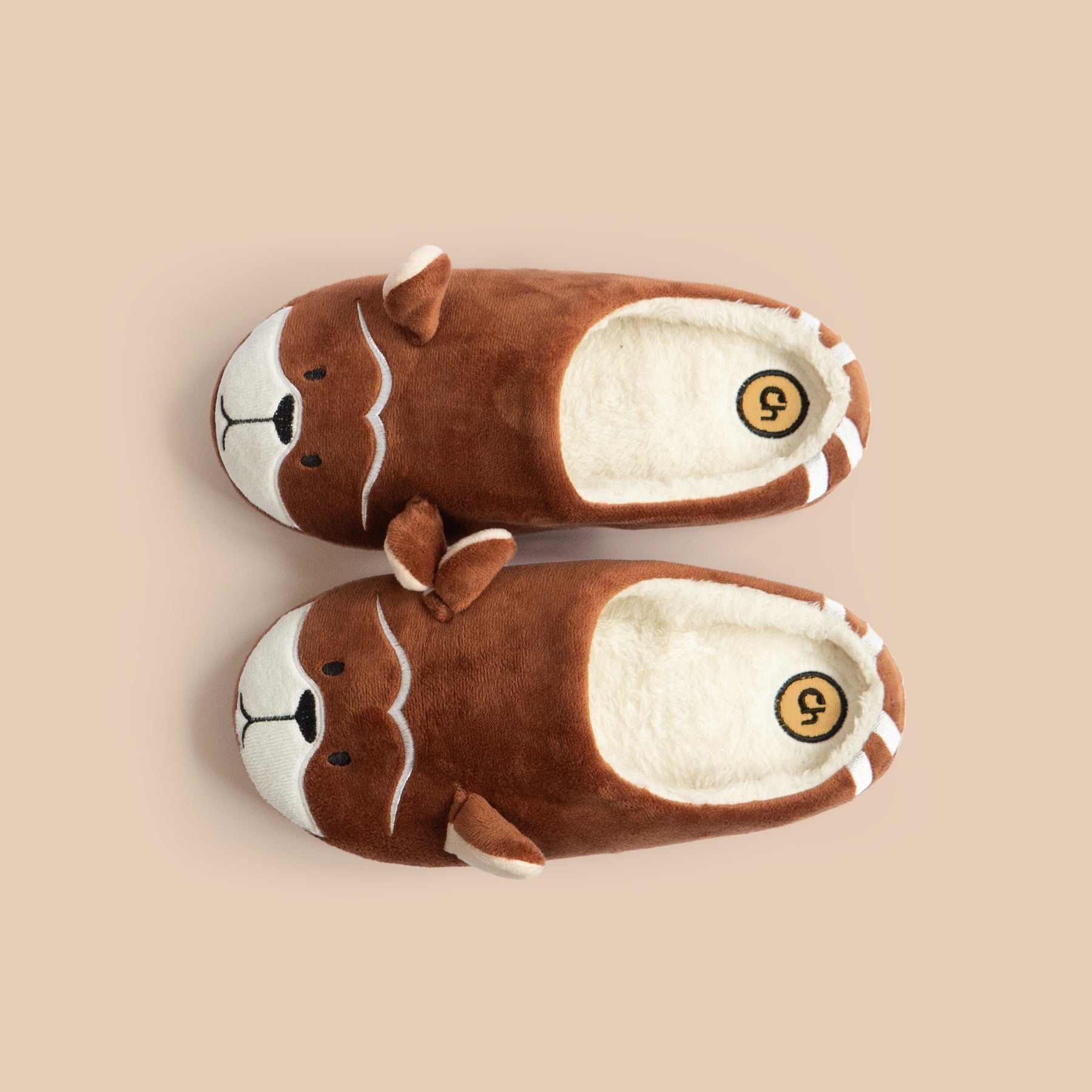 Chillhop Raccoon Slippers – Chillhop Music